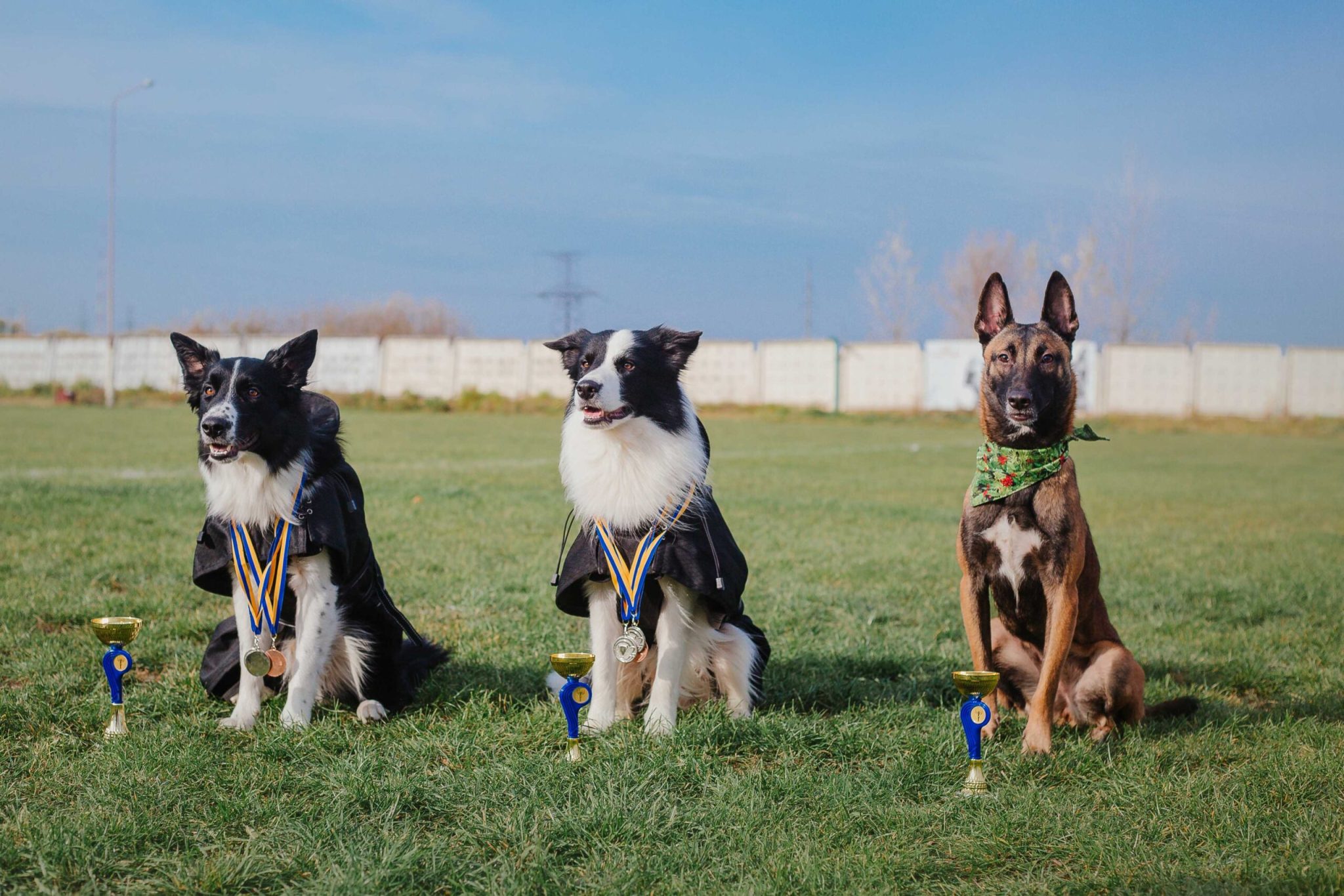 » The Importance of Socialization in the Behavior Formation of ...